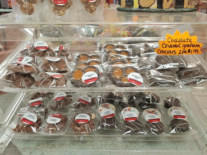 Chocolate-covered graham crackers &ndash; the sophisticated older siblings of s'mores who went to college and came back with a monocle and refined tastes.