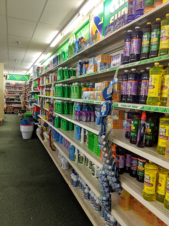 Clean freak heaven with prices that don't make you feel dirty. From Pine-Sol to Ajax, familiar cleaning brands line up for duty at a fraction of supermarket prices.