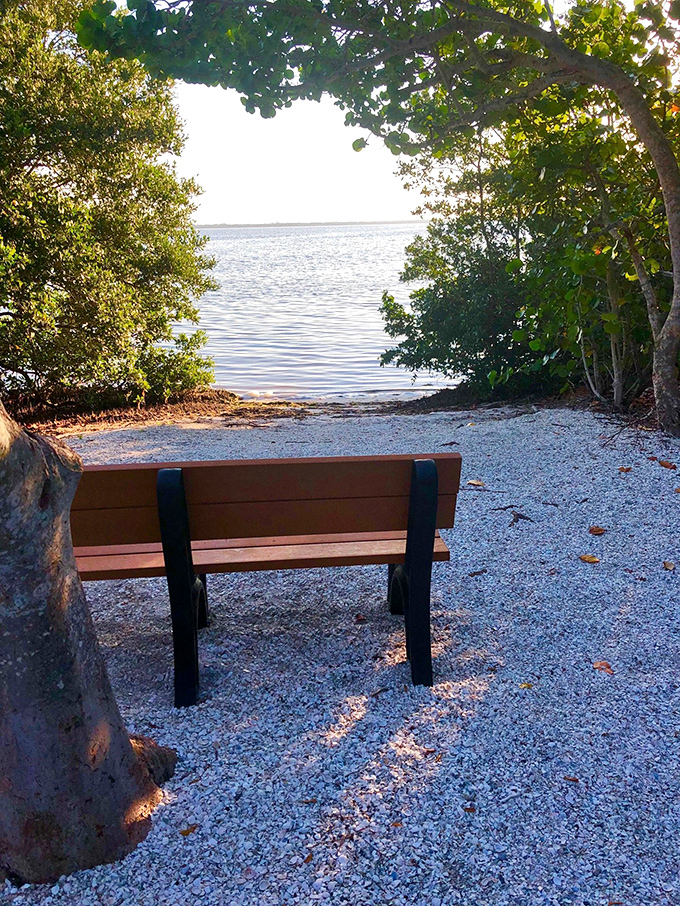 The best seat in the house. This simple bench overlooking the bay might just be Longboat Key's most coveted real estate.