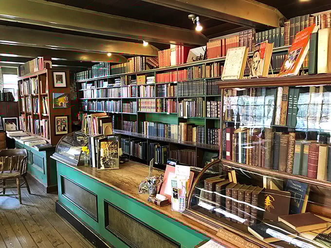 The green counter stands sentinel, a first stop on your literary expedition. Behind it, leather-bound treasures await the discerning collector
