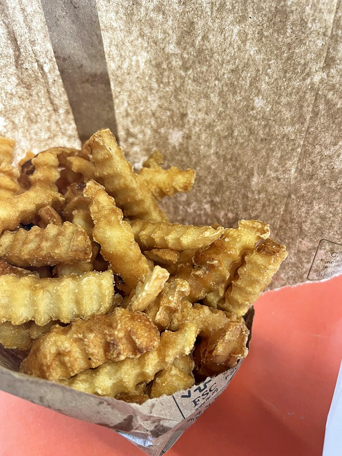 These aren't just fries; they're the crispy, golden supporting characters in your sandwich adventure story, demanding equal billing.