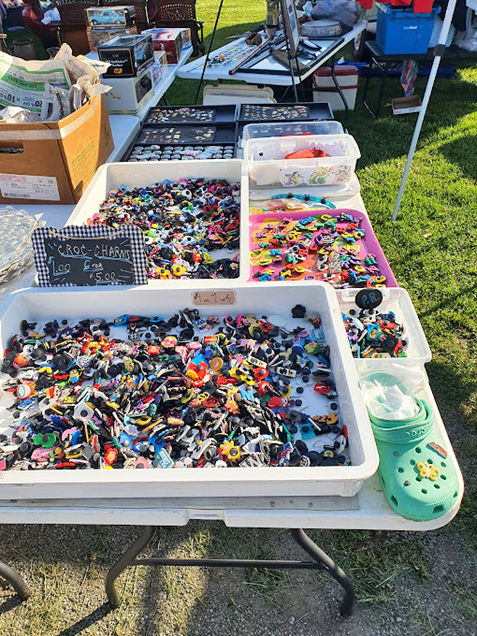 The modern equivalent of mood rings! These tiny trinkets transform ordinary Crocs into personal billboards of interests, hobbies, and obsessions.