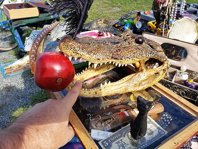 Would you like an apple with that? Taxidermy meets whimsy in the ultimate conversation piece that would certainly raise eyebrows in any living room.