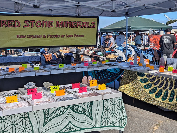 Crystal clear pricing at Red Stone Minerals. These geological treasures bring a touch of natural wonder to home d&eacute;cor.