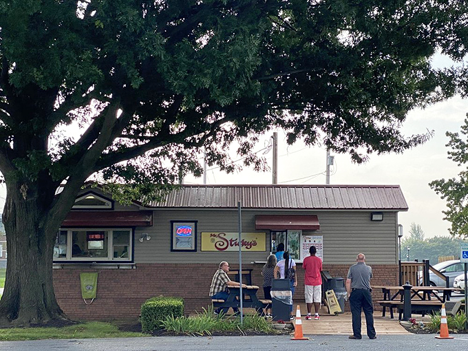 The pilgrimage to sticky bun nirvana often involves a line. Some wait for concert tickets; the wise wait for these. 