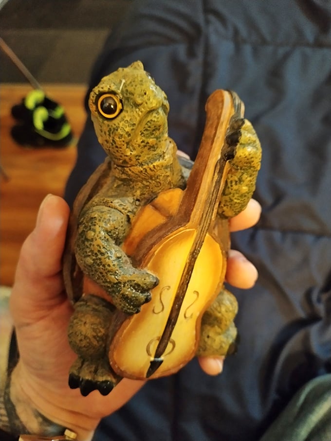 A turtle playing cello&mdash;because sometimes the most charming treasures are the ones you never knew you needed until you saw them.