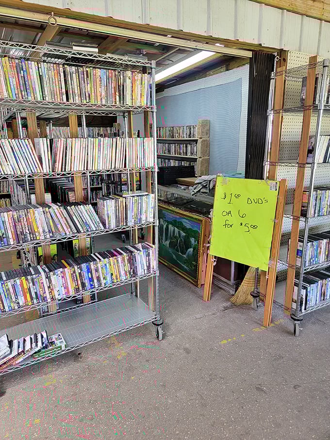 The physical Netflix of yesteryear. For just a dollar each, these DVDs offer entertainment without subscription fees or spotty internet connections.