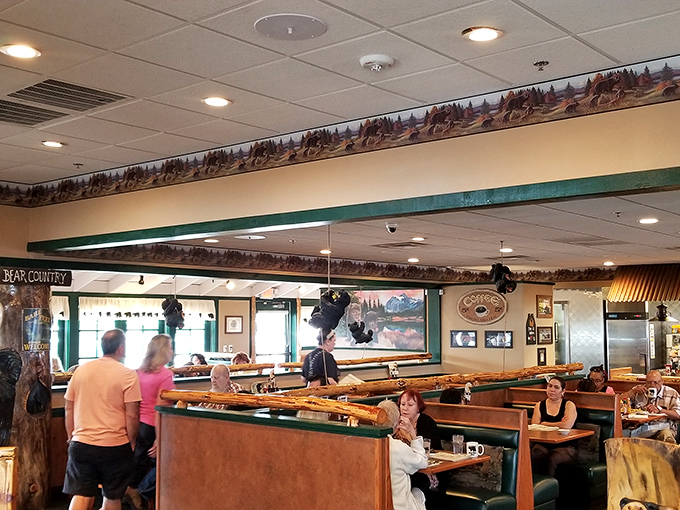 The forest-themed border running along the ceiling reminds you that you're in bear country now&mdash;the kind where the only danger is ordering more than you can eat.