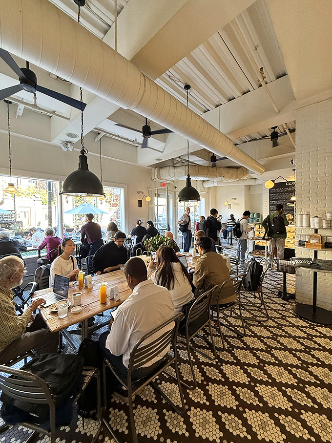 Where Cambridge minds meet over coffee and conversation. That honeycomb tile floor has witnessed more brilliant ideas than most Ivy League classrooms.