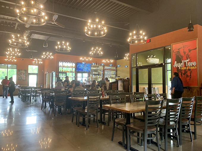 Where industrial meets inviting – exposed ductwork and circular chandeliers create a contemporary vibe while colorful accents keep things from feeling too serious.