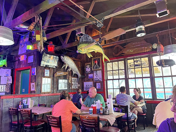 Locals and visitors alike gather under fishing trophies and colorful lights, united by the universal language of perfectly fried seafood.