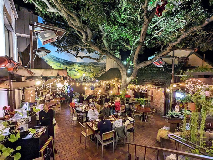 The enchanted outdoor dining space transforms dinner into an occasion, with twinkling lights nestled among tree branches creating nature's own chandelier.