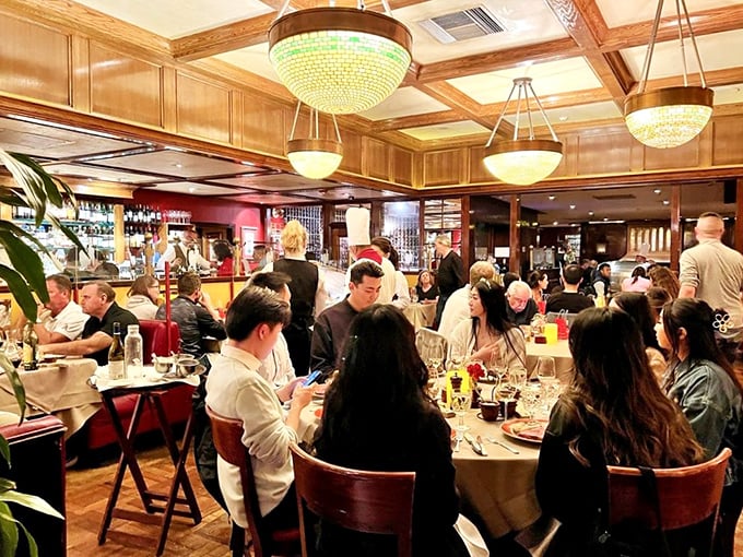 The dining room buzzes with the energy of celebration, where strangers become temporary neighbors united by the universal language of great food.