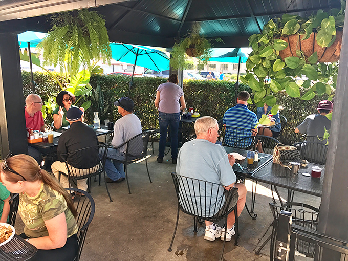 California sunshine streaming through windows makes every breakfast feel like a weekend celebration.