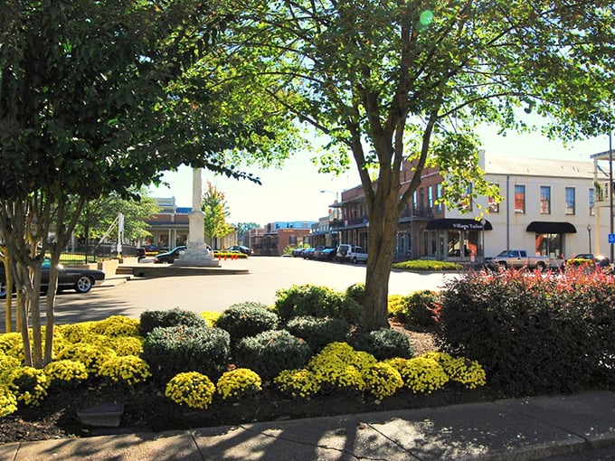 Downtown Oxford's flowering planters aren't just decorative &ndash; they're nature's way of saying "slow down and notice beautiful things."