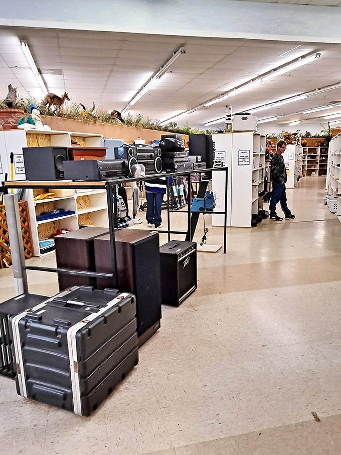 The electronics section: where vintage stereos and speakers wait for their comeback tour in your living room.