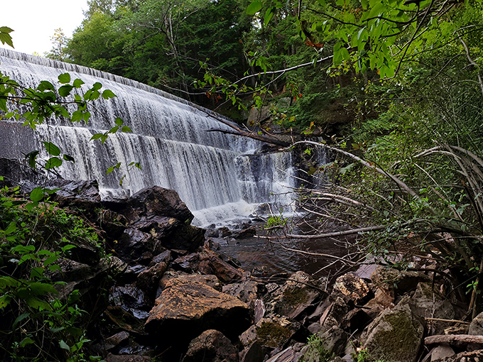 Water cascading over ancient stone&mdash;Eliza Adams Gorge reminds us that nature was creating spectacular shows long before streaming services existed.