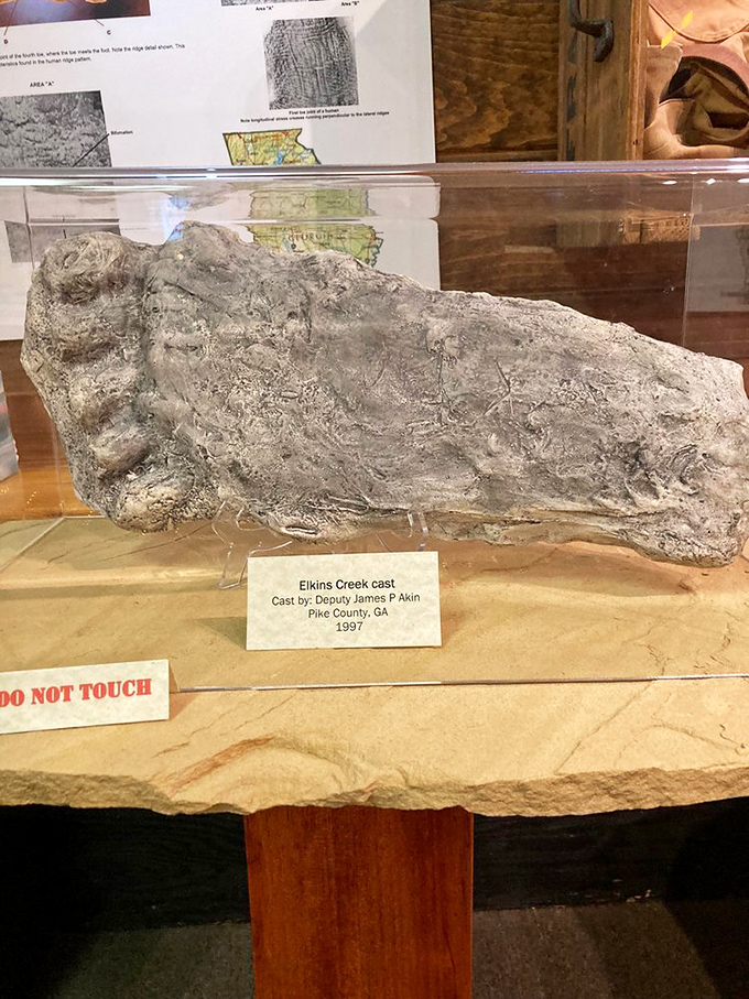 The Elkins Creek Cast, preserved behind glass, represents one of Georgia's own Bigfoot encounters &ndash; a local legend immortalized in plaster.