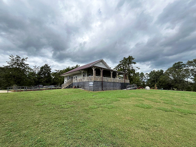 Enoree River Winery stands like a welcoming front porch for grown-ups, where clouds gather dramatically as if to toast the vintages below.