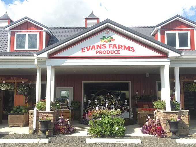 Evans Farms' cheerful red exterior practically announces "fresh produce inside!" with the confidence of generations who've worked the same fertile Delaware soil.
