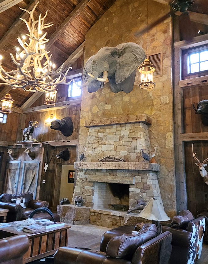 Between tank adventures, visitors can relax in surprisingly luxurious accommodations. This trophy room could be straight out of a Hemingway novel.