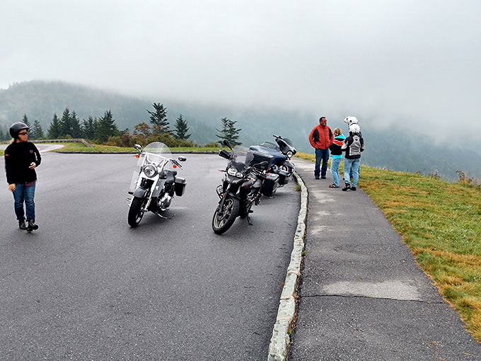 When fog embraces the mountains, the overlook becomes a front-row seat to nature's most mysterious performance art.