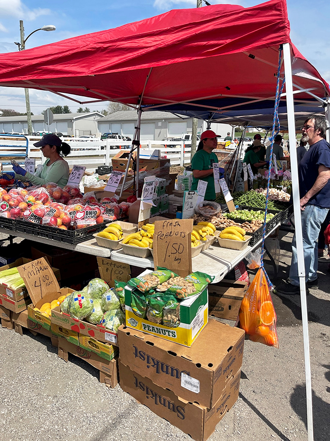 Fresh produce that actually looks like it came from a farm, not a factory. Those tomatoes haven't spent more time traveling than a retired couple with an RV.