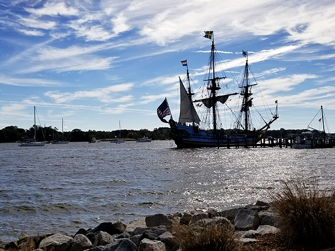 The Sultana, silhouetted against the sparkling Chester River, transforms an ordinary afternoon into a time-travel experience without the awkward costume requirements.