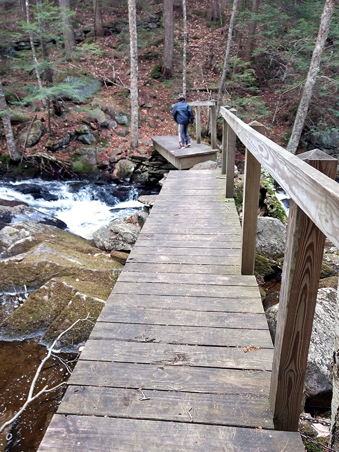 Nature's boardwalk invites exploration along rushing waters. The sound of the stream drowns out everything except your own thoughts.