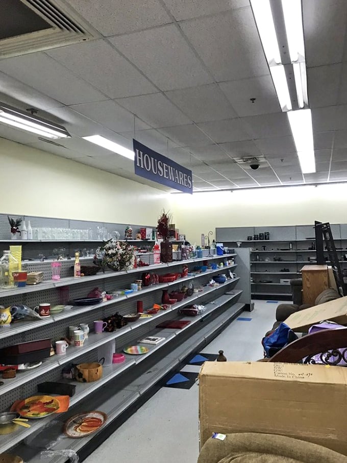 Housewares heaven! From forgotten Pyrex to quirky coffee mugs, these shelves hold the kitchen tools of your past, present, and future.