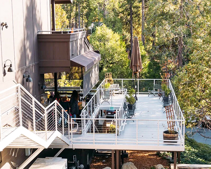 A deck suspended among the pines&mdash;proof that "forest bathing" is even better when it involves actual chairs and cold beverages.