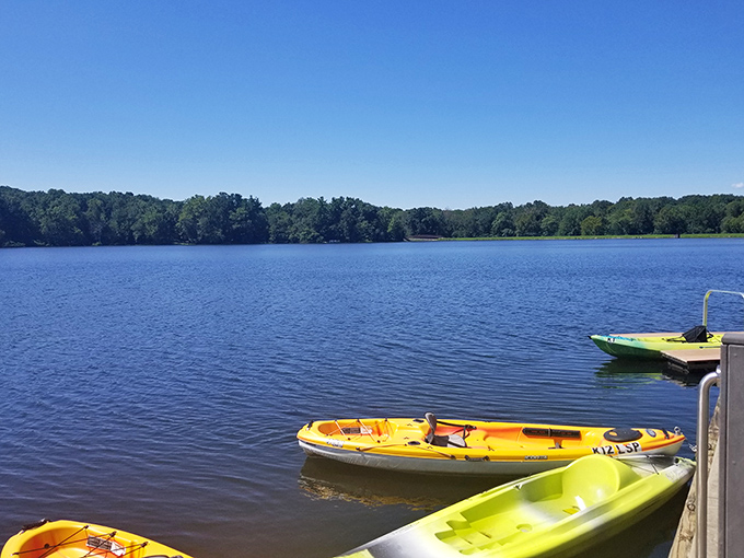 These colorful kayaks rest at the dock like a fleet of water butterflies, ready to transform landlubbers into explorers with just a paddle.