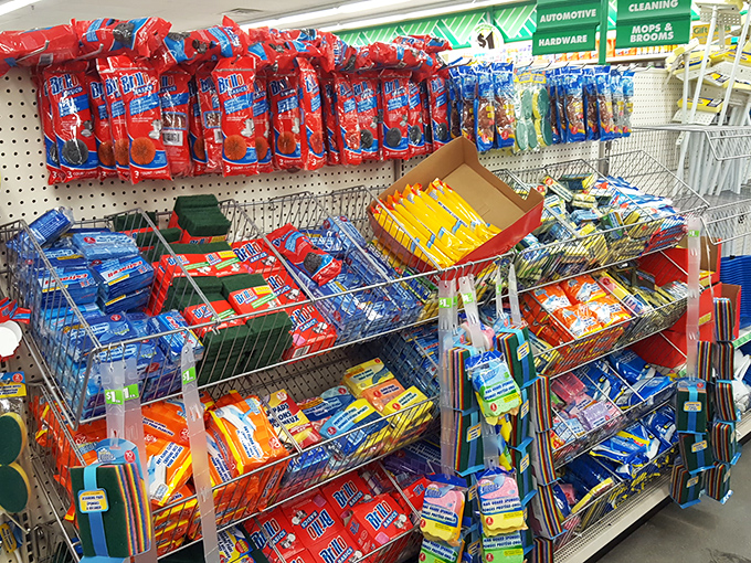 The cleaning supply aisle – where domestic warriors arm themselves for battle against household chaos without budget casualties.