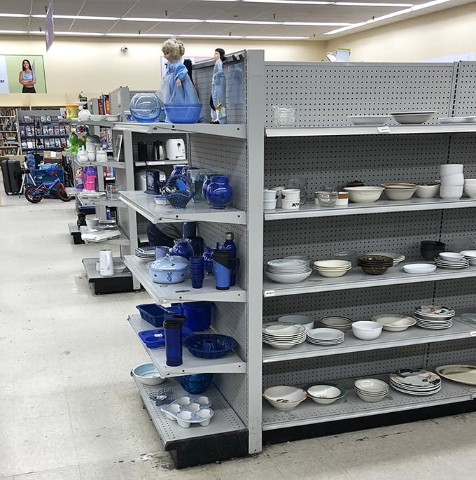The dishware aisle &ndash; where blue-themed collections meet practical pottery, all priced so low you'll forgive the occasional chip.