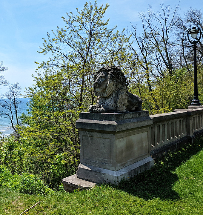 This regal lion guards the park like a furry bouncer, ensuring only the most appreciative visitors enter.