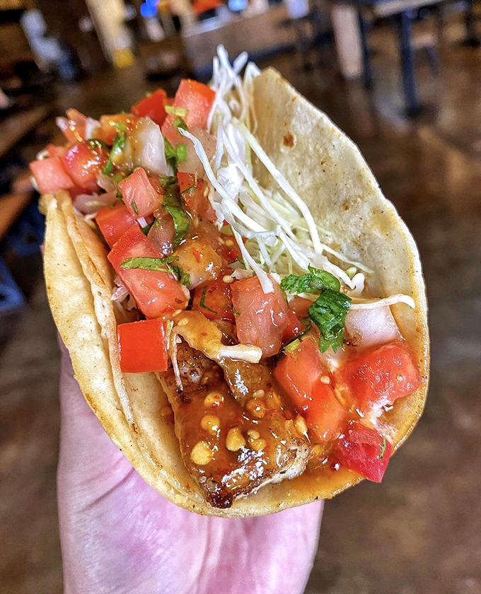 Hand-held heaven featuring perfectly seasoned fish with fresh garnishes that make every bite a small celebration of flavor. 