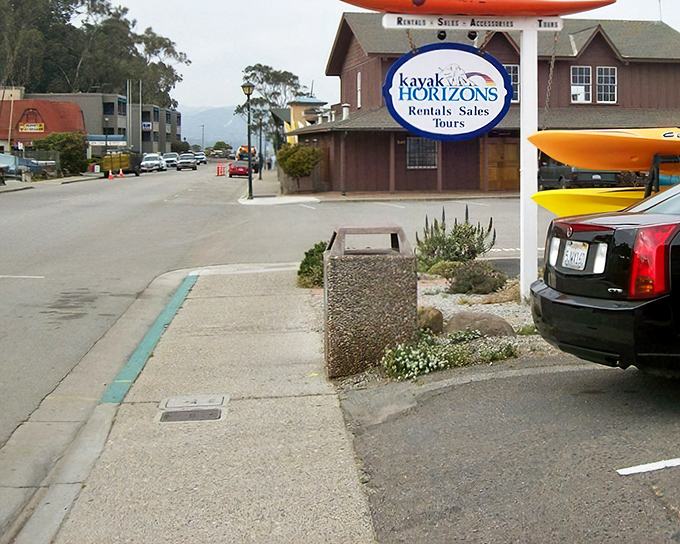 Kayak Horizons beckons adventure-seekers to explore the bay's hidden corners, where wildlife sightings are practically guaranteed with each paddle stroke.