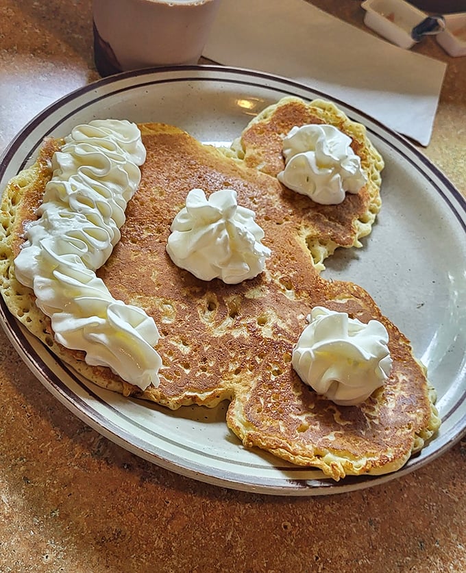 Pancakes with whipped cream that somehow manage to be both childlike and sophisticated. Breakfast should always spark this much joy.