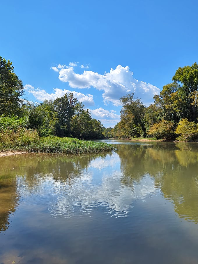 The serene waters of Black River reflect Missouri's natural splendor. Nature's therapy session doesn't require insurance approval or copays.