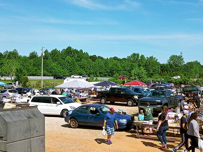 Weekend ritual in full swing. The outdoor market's gravel paths lead shoppers on a journey of discovery between colorful vendor tents.