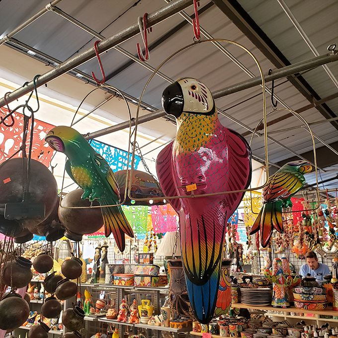 Technicolor parrots that never squawk hang in suspended animation, ready to bring tropical vibes to desert homes.