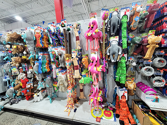 A menagerie of plush companions waiting for their forever homes. That pink flamingo seems to be saying, "Take me home, I'm 70% off!"