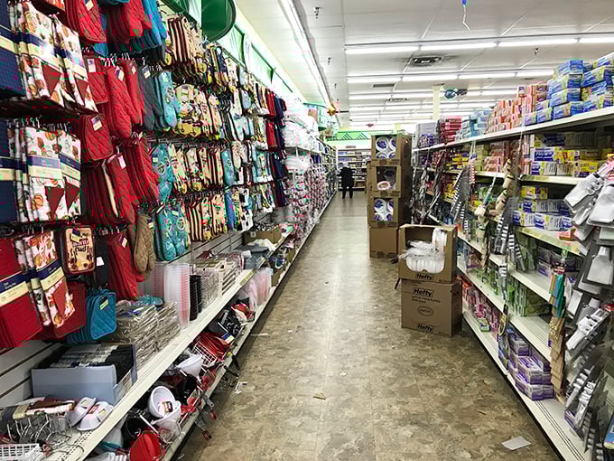 A rainbow of organizational possibilities. These vibrant containers promise the orderly life you've always dreamed about but never quite achieved.