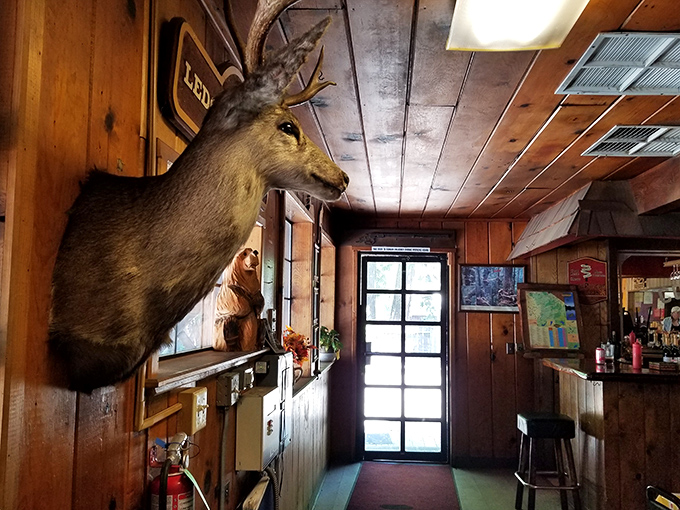 Taxidermy that's seen it all. This watchful deer guards the entrance, silently judging your breakfast order choices.