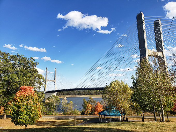 Fall colors frame the bridge and river in a seasonal spectacle that reminds visitors why autumn might be Cape Girardeau's most photogenic season.