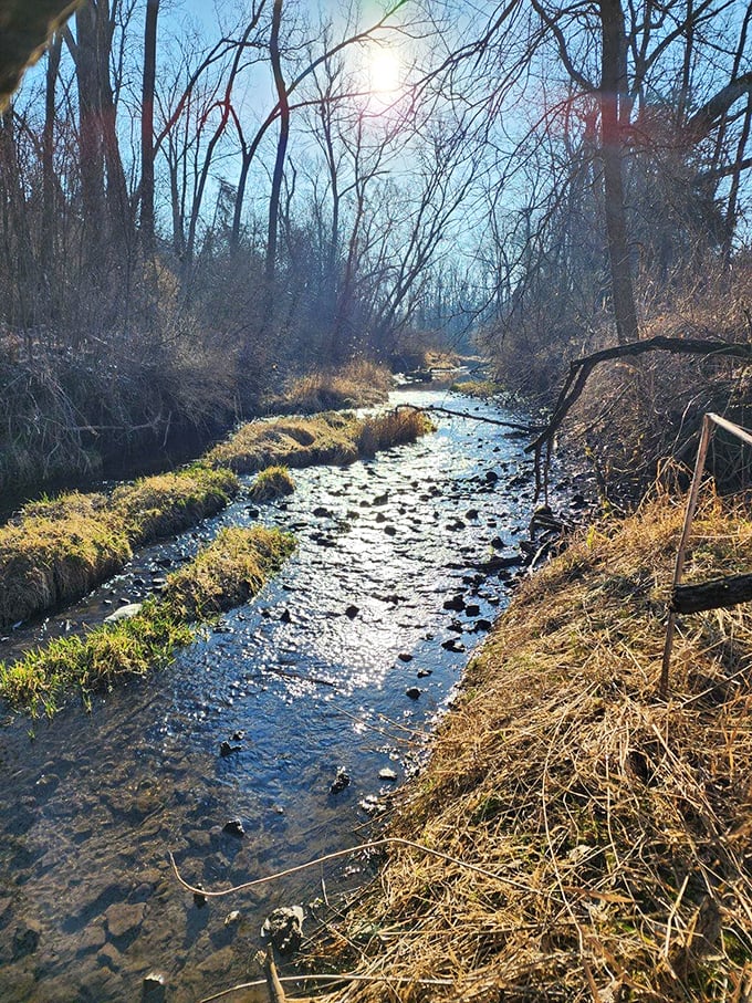 Nature's soundtrack plays along this peaceful stream&mdash;babbling water, rustling leaves, and not a single car horn to be heard for miles.