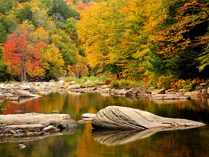 Fall transforms Emporium's waterways into mirror-like reflections of autumn's spectacular color show, free of charge to all who visit.