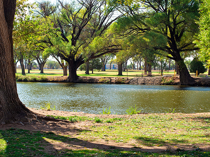 Shaded by mature trees, the park's tranquil pond offers a perfect spot for contemplation, fishing, or simply watching ducks create ripples across the glassy surface.
