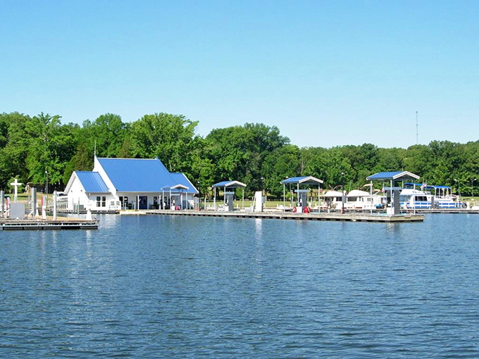 Fall in Tennessee transforms ordinary country roads into flame-colored tunnels that make even a quick drive to the grocery store feel magical. 