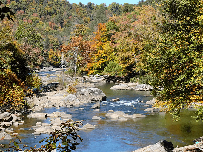 Nature doesn't need Instagram filters in West Virginia. This river has been carving its path through the mountains since before "scenic" was a tourism category.